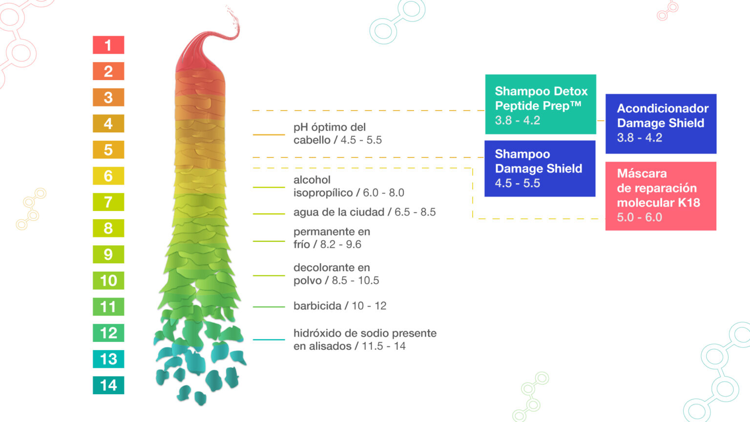 Clase de ciencia 13: por qué es importante el pH de nuestros productos - K18 Hair